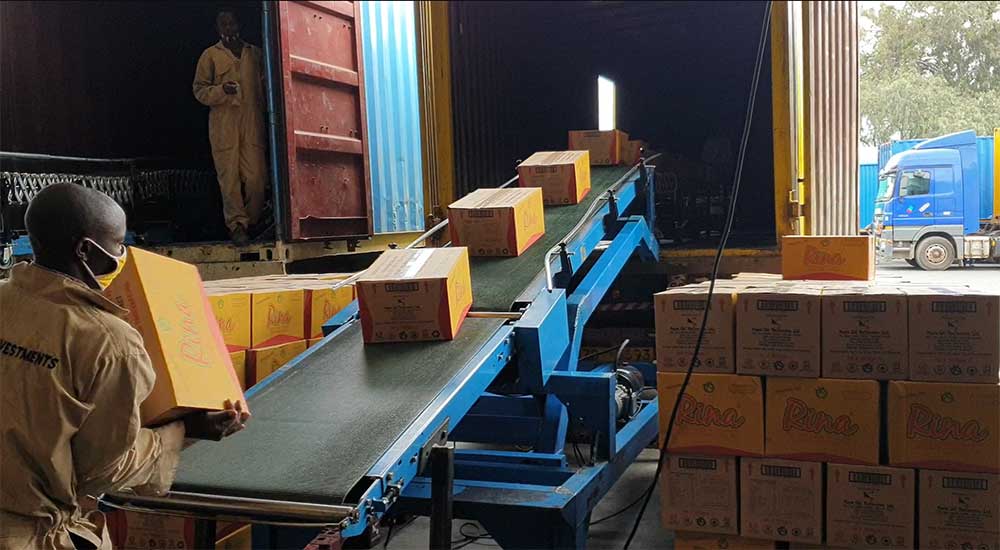 Conveyor System, Container Loading And Unloading System | YiFan Conveyor